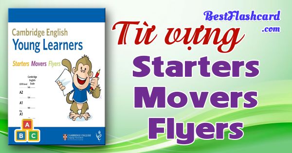 Từ vựng và Bài tập Tiếng Anh - BestFlashcard