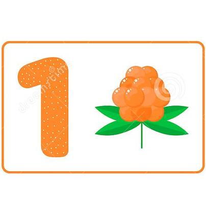 Vocabulary Flashcard: Numbers