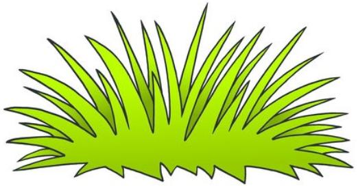 Vocabulary Flashcard: Unit 1: My class