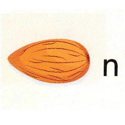 Vocabulary Flashcard: ISS-GRADE 2-PHONIC Nn,Oo