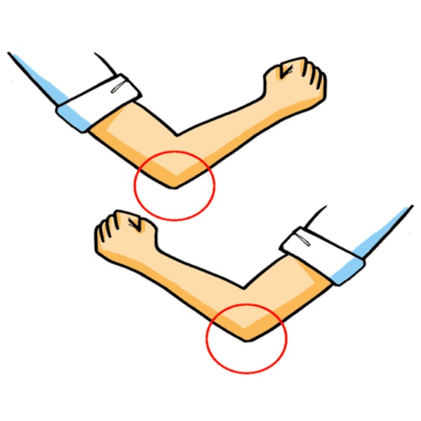 [Connection] - TOPIC : MY BODY (LESSON 4 - CHIN, HAIR, ELBOW, HEAD)
