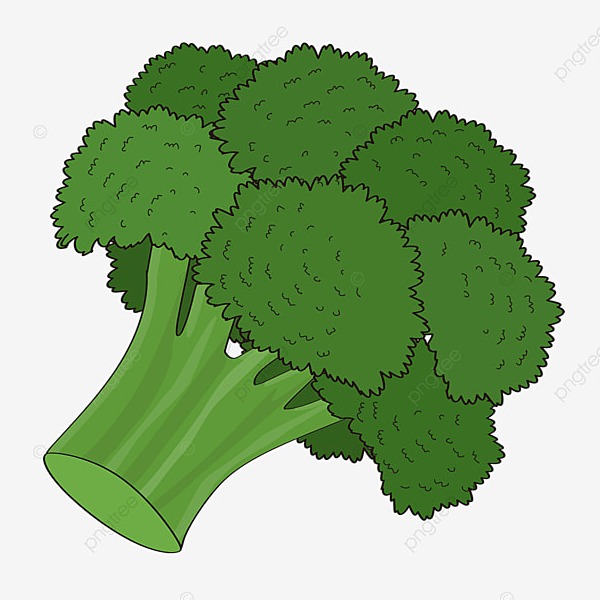 Vocabulary Flashcard: Grade 1 (NTH) - Vegetables