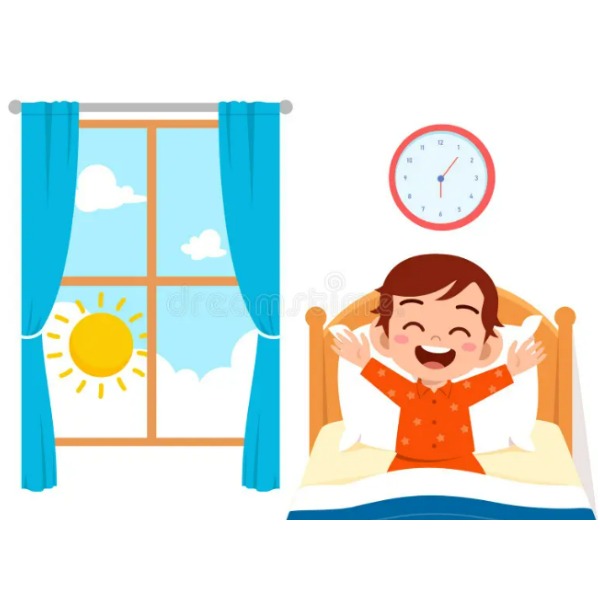 Vocabulary Flashcard: daily routine