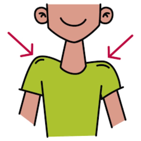 Vocabulary Flashcard: Unit 6 : My neck, my shoulders