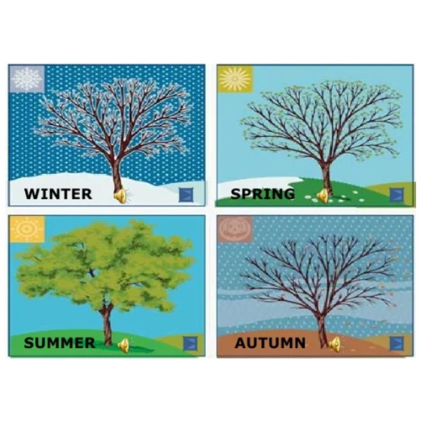 Flashcard – KID 5 - WEATHER AND SEASONS-VOCABULARY