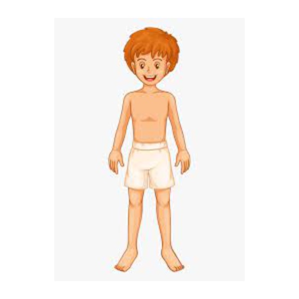 Vocabulary Flashcard: Unit 4. My body