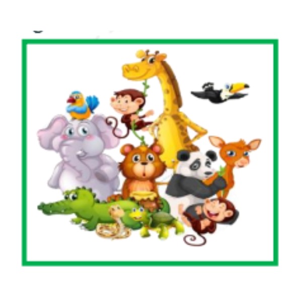 Vocabulary Flashcard: Unit 5- animal
