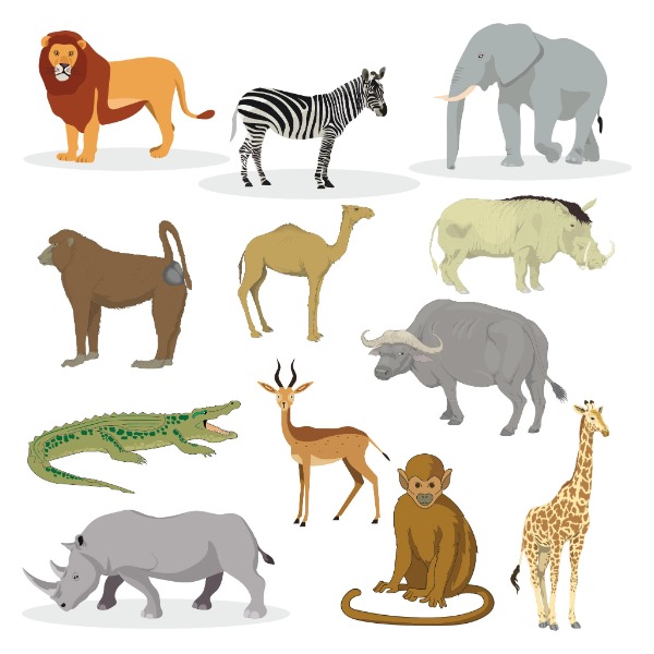 Vocabulary Flashcard: Let's go 1 - Unit 8 - Review (1)