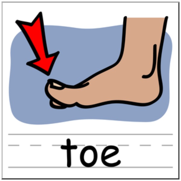 Vocabulary Flashcard: BODY PARTS