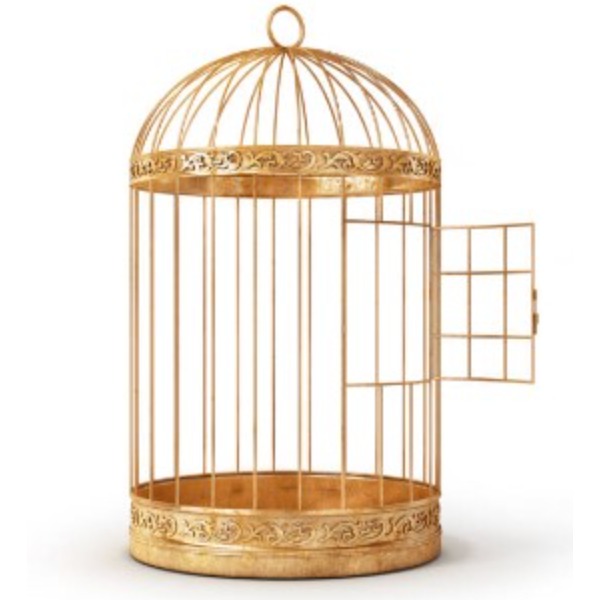 Vocabulary: cage