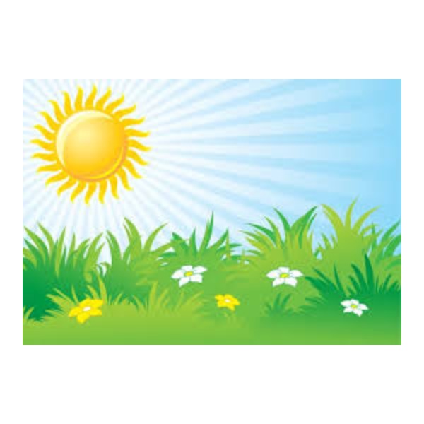 Vocabulary Flashcard: Super kid 2-Unit 3