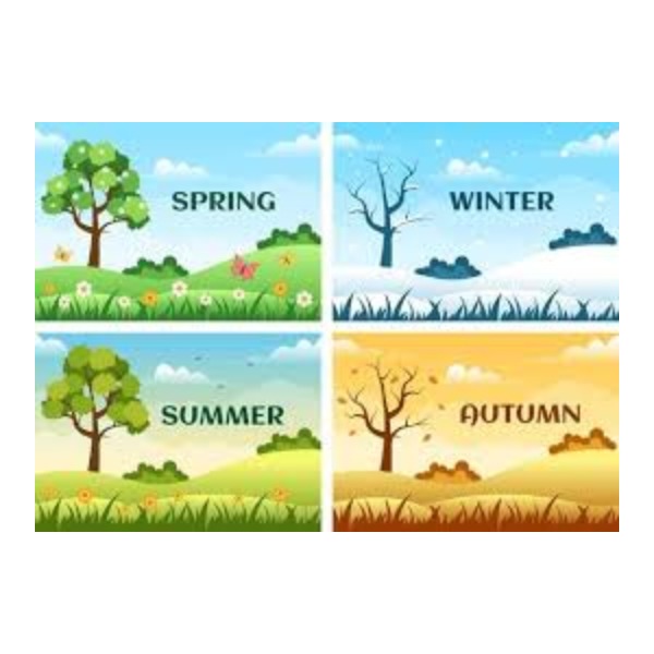 [Memory Game] - seasons and weather
