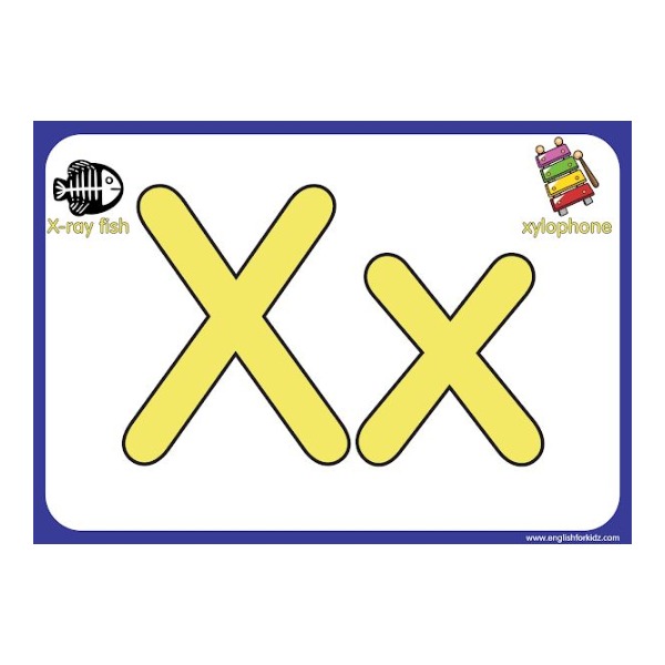 Vocabulary Flashcard: Letter Xx