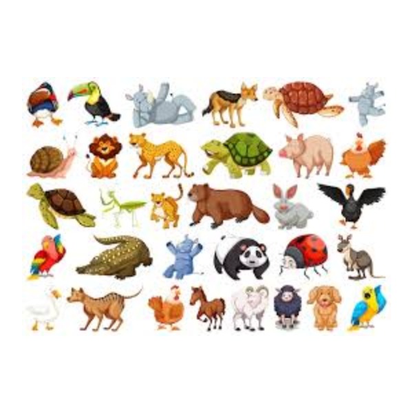 Vocabulary Flashcard: SGK Tiếng Anh Lớp 2 i-Learn Smart Start - Unit 4 ...