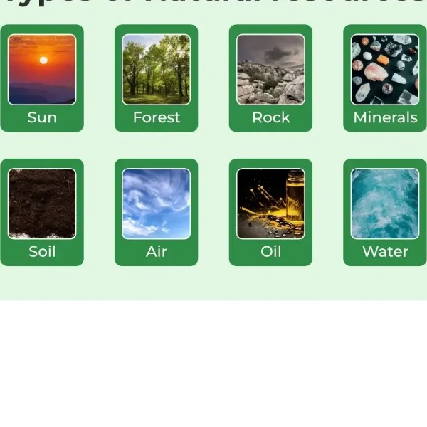 Flashcard – GP5_GKL_NATURAL RESOURCES_ENVIRONMENT