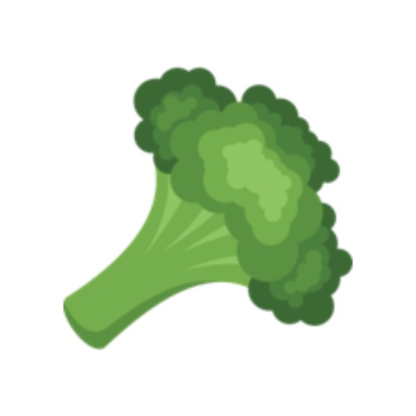 Vocabulary Flashcard: Do you like broccoli ice cream?