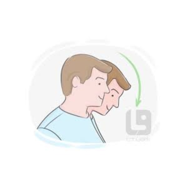 Vocabulary Flashcard: BOOK 13 THIS NOD MEANS YES