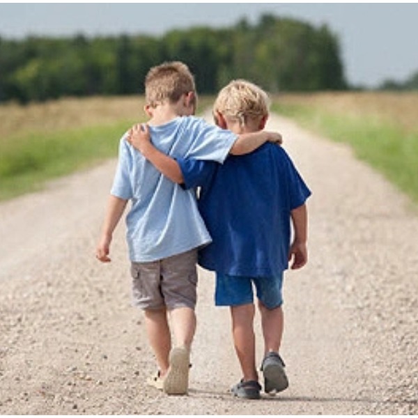 Vocabulary Flashcard: Chap 7: Best Friend