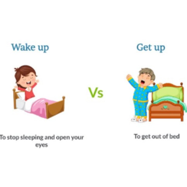 Vocabulary Flashcard: MOVE UP 5-UNIT 1-LESSON 1-DAILY ROUTINE