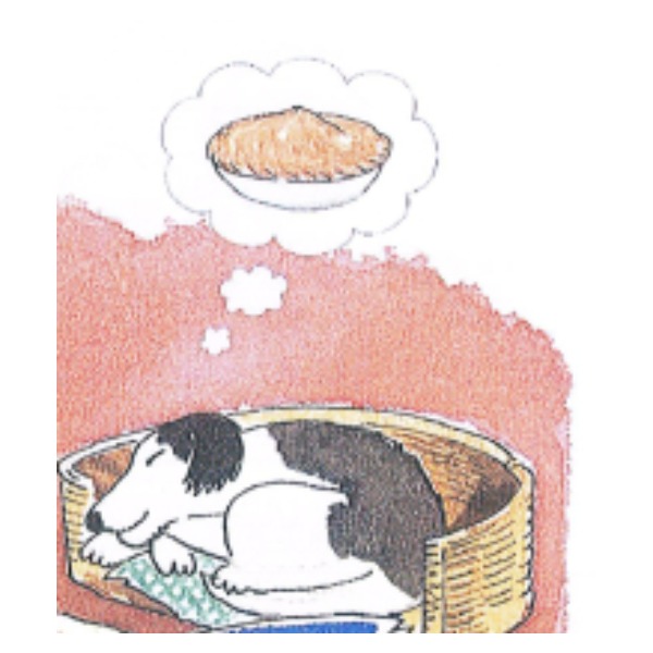 Vocabulary Flashcard: Story The Rocket