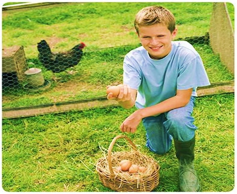 Unit 6 Lesson 3&4 Story&Farm Chores