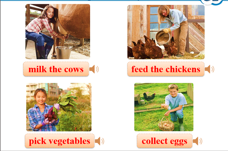Unit 6 Lesson 3&4 Story&Farm Chores