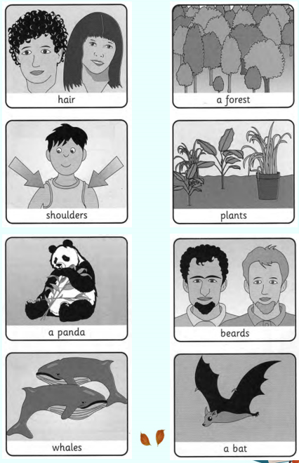 Fun For Movers Reading & Writing Test 10,11,12 Part 1
